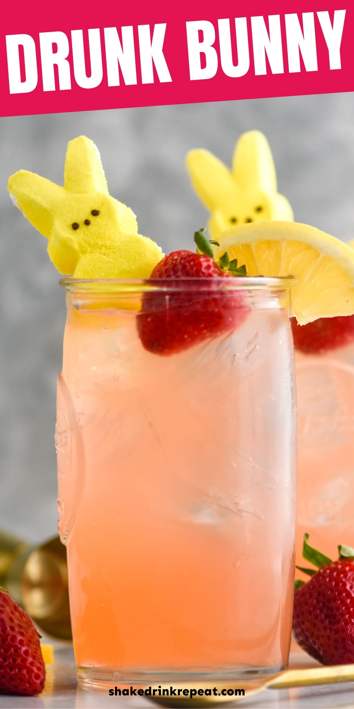 Drunk Bunny - Shake Drink Repeat