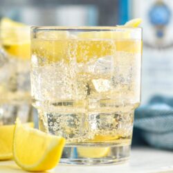 Gin and Ginger Ale - Shake Drink Repeat