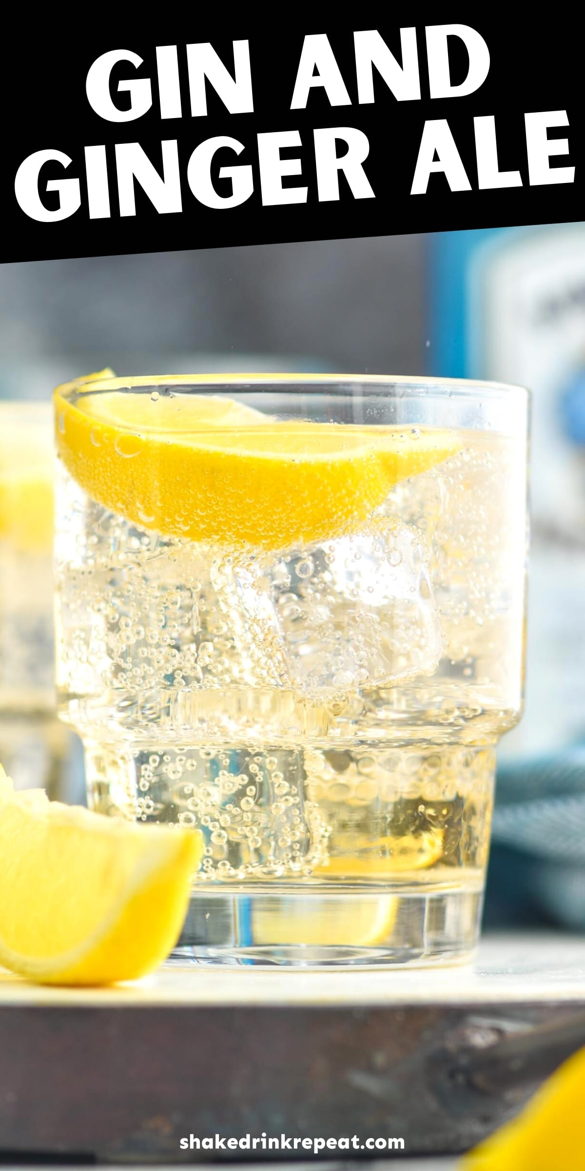 Gin and Ginger Ale - Shake Drink Repeat