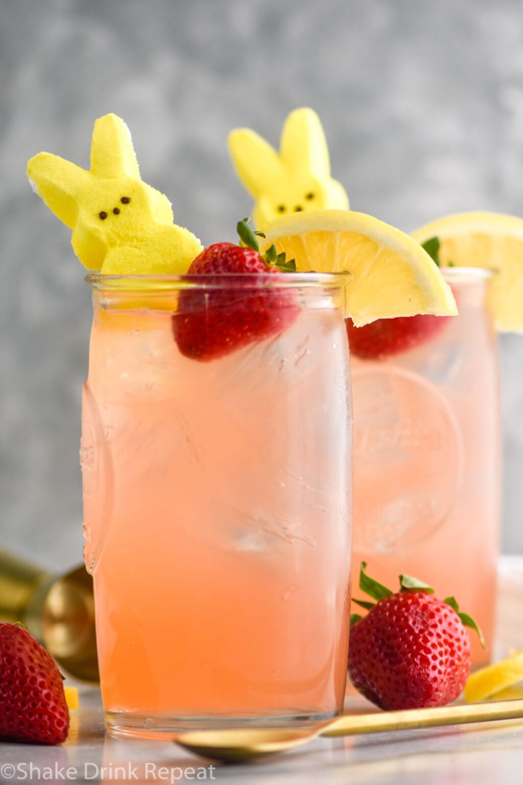 Drunk Bunny - Shake Drink Repeat