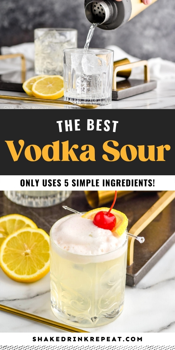 Vodka Sour - Shake Drink Repeat