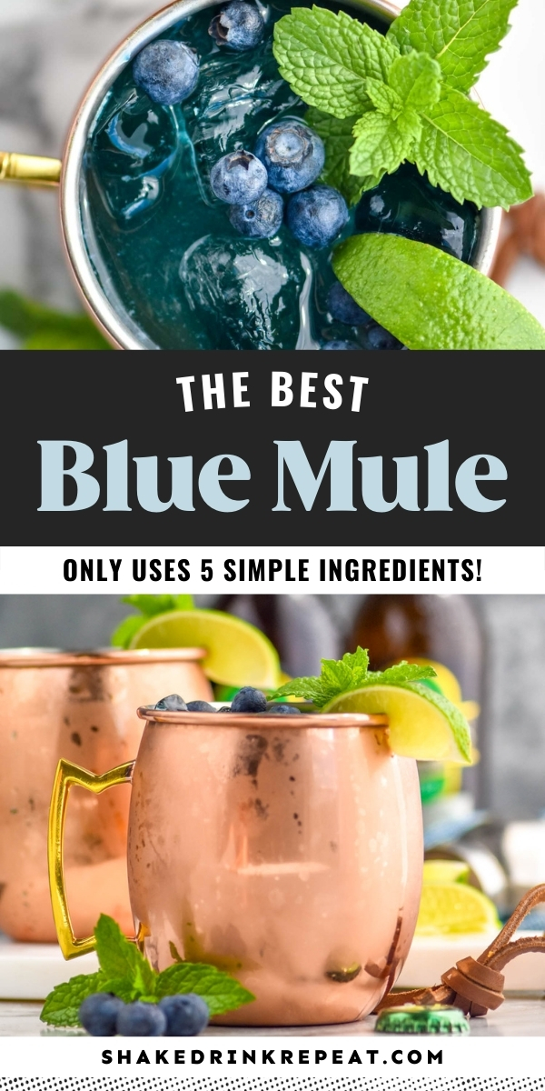 Blue Mule - Shake Drink Repeat