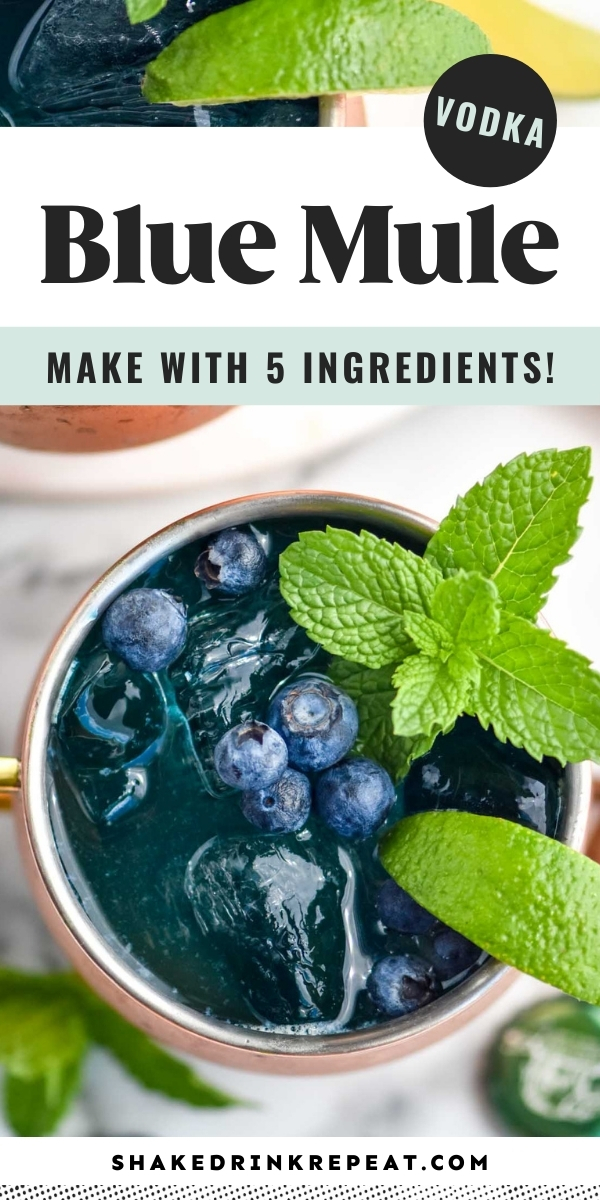 Blue Mule - Shake Drink Repeat
