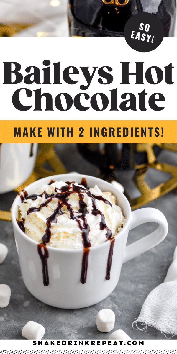 Baileys Hot Chocolate - Shake Drink Repeat