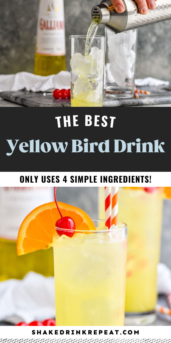 Yellow Bird Drink - Shake Drink Repeat