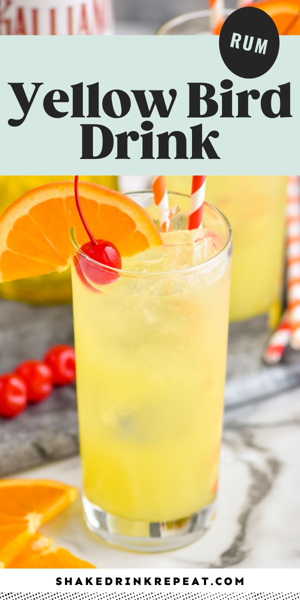 Yellow Bird Drink - Shake Drink Repeat