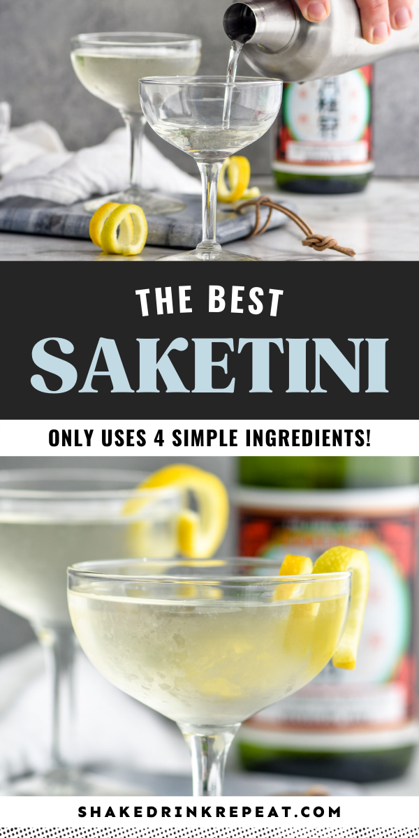 Saketini - Shake Drink Repeat