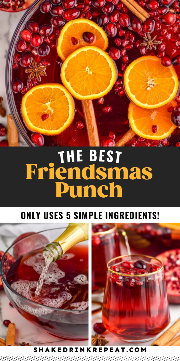 Friendsmas Punch - Shake Drink Repeat