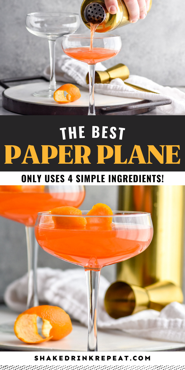 Paper Plane - Shake Drink Repeat