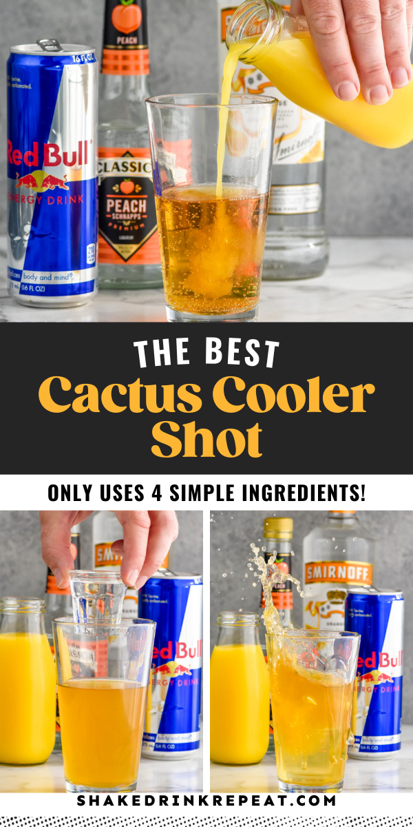 Cactus Cooler Shot - Shake Drink Repeat